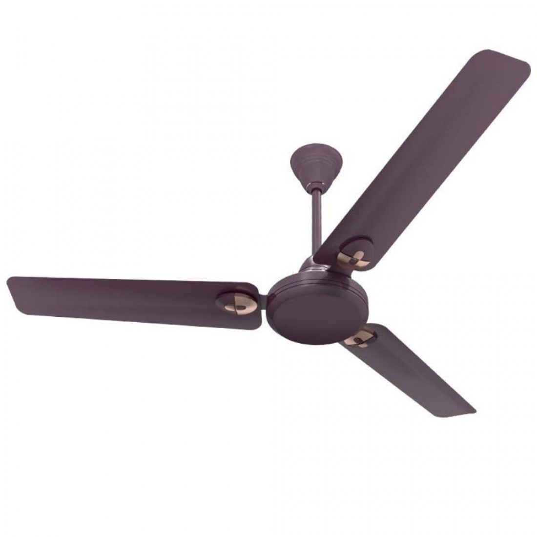 Buy Crompton Bruna 3 Blade Decorative Ceiling Fan, Berry Blast