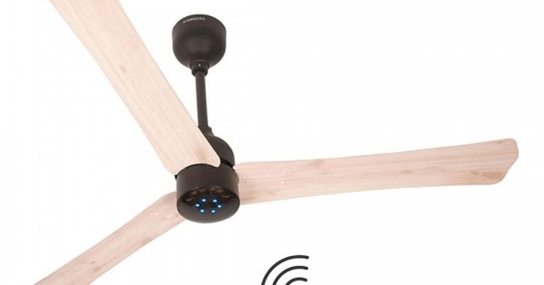 Atomberg Renesa Plus 1200 mm BLDC Motor & Remote 3 Blade Ceiling Fan ...